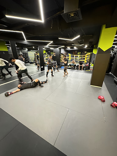 THE LAB GYM | Fitlynk