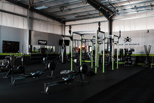 Back to Basics Movement & Training | Fitlynk