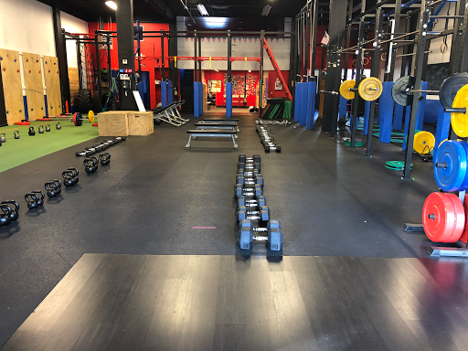ObstaCourse Fitness | Fitlynk