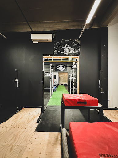 The Resilient Strength | Fitlynk